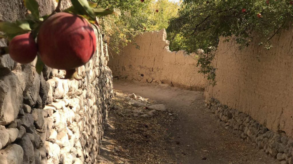 Cooking With the Zoroastrians