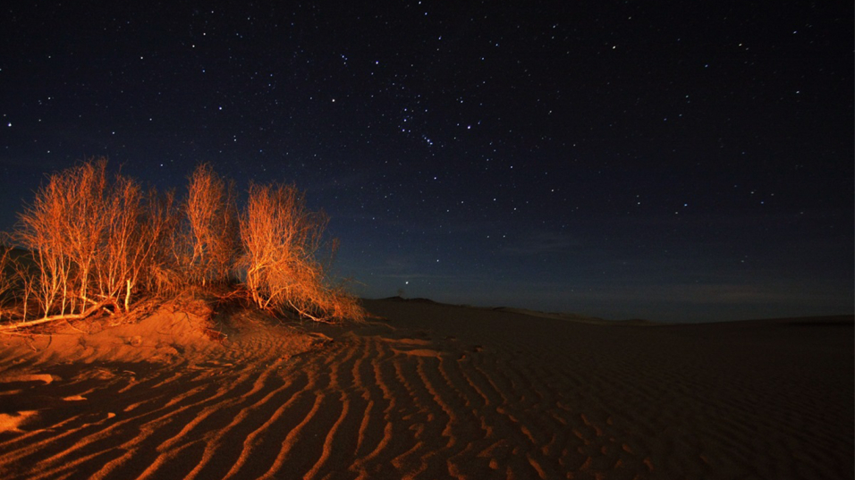 Cross The Kavir National Park