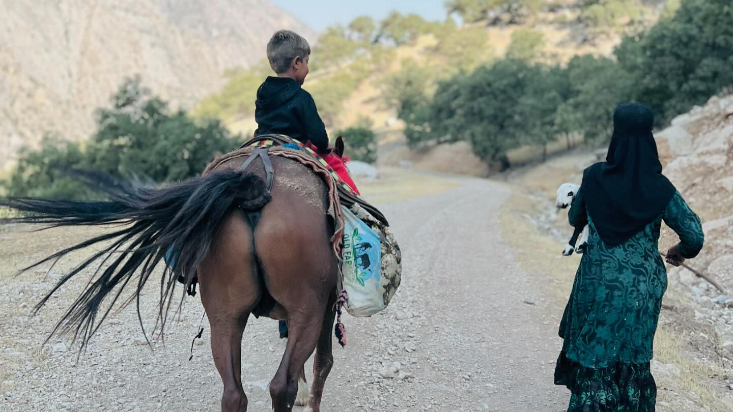 Kooch Tour with Persian nomads