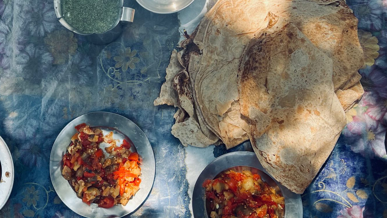 Kooch Tour with Persian nomads